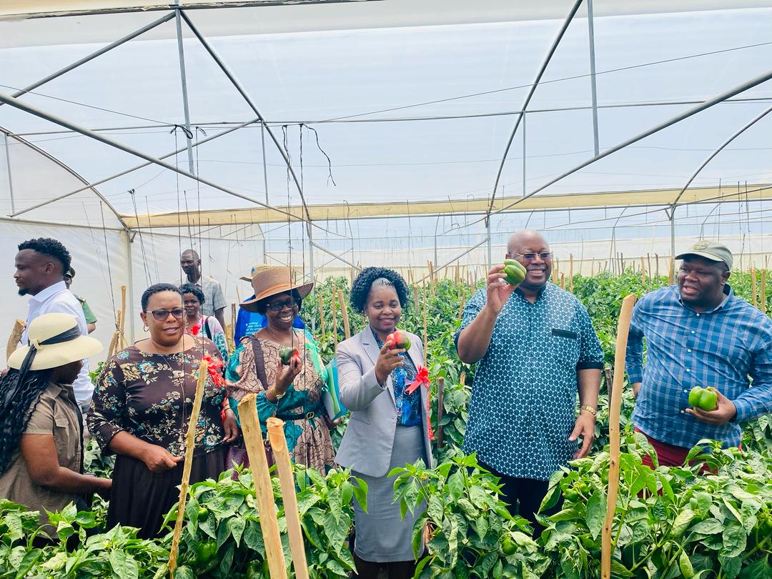 Umguza Rural District Council launches the Ntabazinduna Gender ...